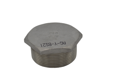 Zeskant plug BSP 1/2" RVS 316 - Inox Master